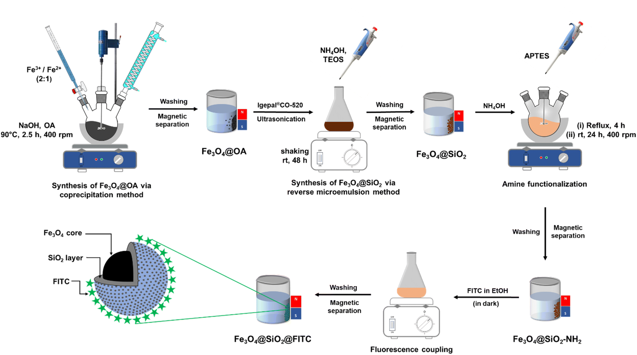 Synthesis and characterization of fluorescent magnetic nanoparticles: a ...
